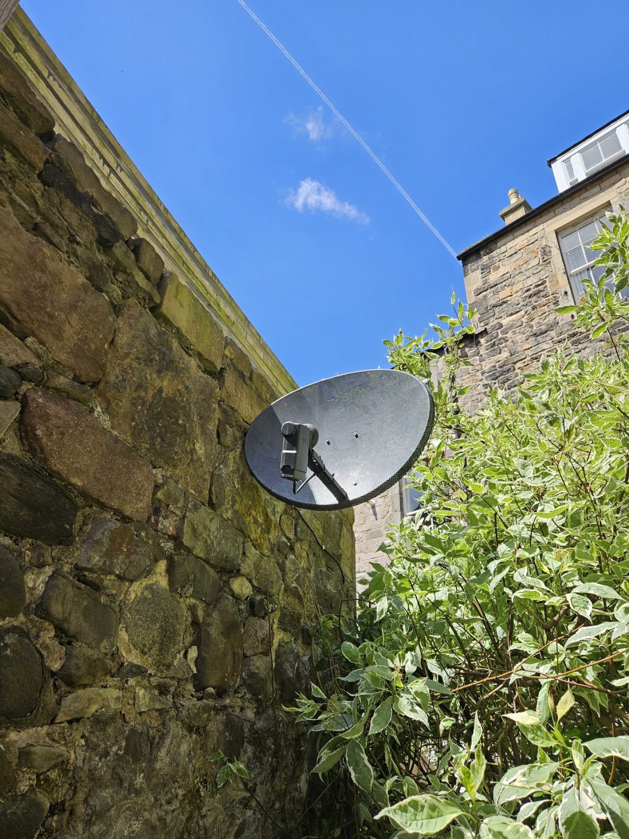 Summer Growth: How Trees and Bushes Can Disrupt Your Satellite Signal ...